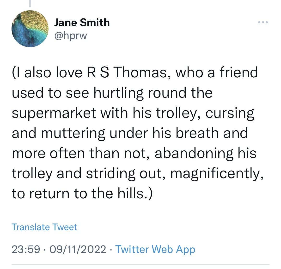 Claire Vaughan (@pixieglas@toot.wales) - Tŵt Cymru | Toot Wales