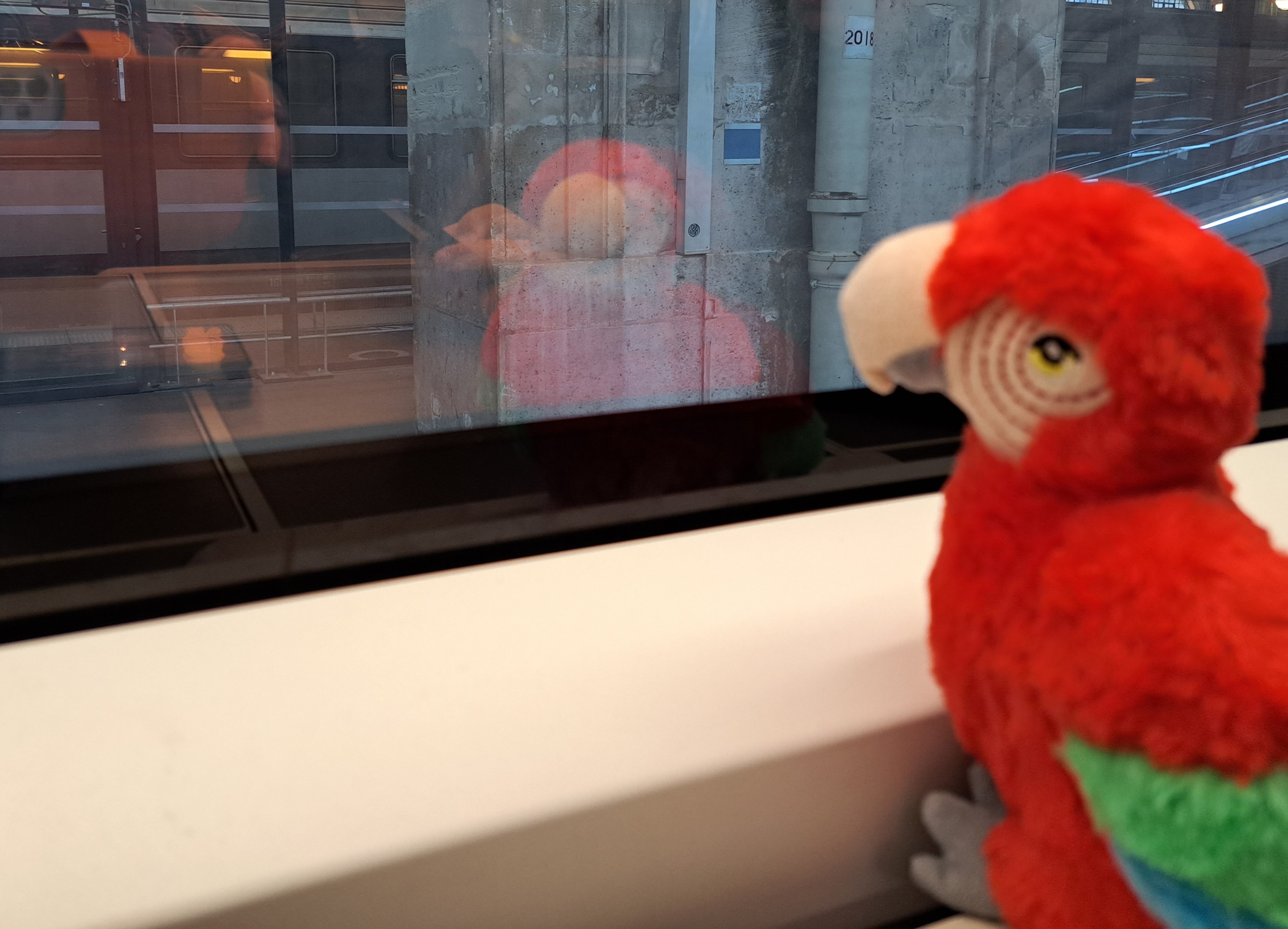 Peter Parrot (@parrot_adventures@toot.wales) - Tŵt Cymru | Toot Wales